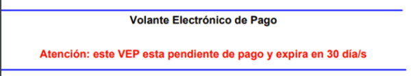 3 Formas de genrar un VEP desde AFIP